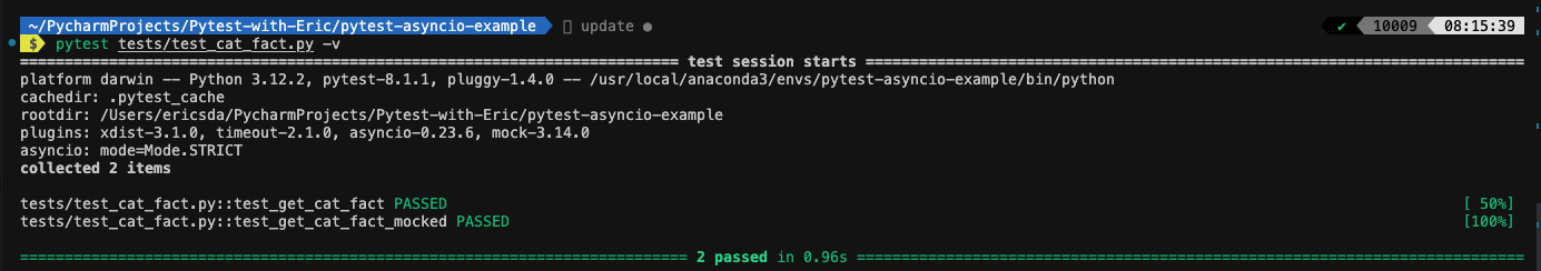 A Practical Guide To Async Testing With Pytest Asyncio Pytest With Eric